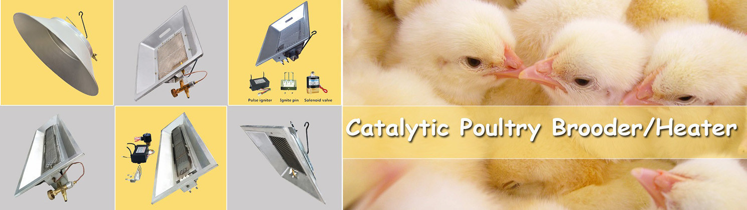 Quality Gas Brooder Heater & Poultry Brooder Heater factory from China