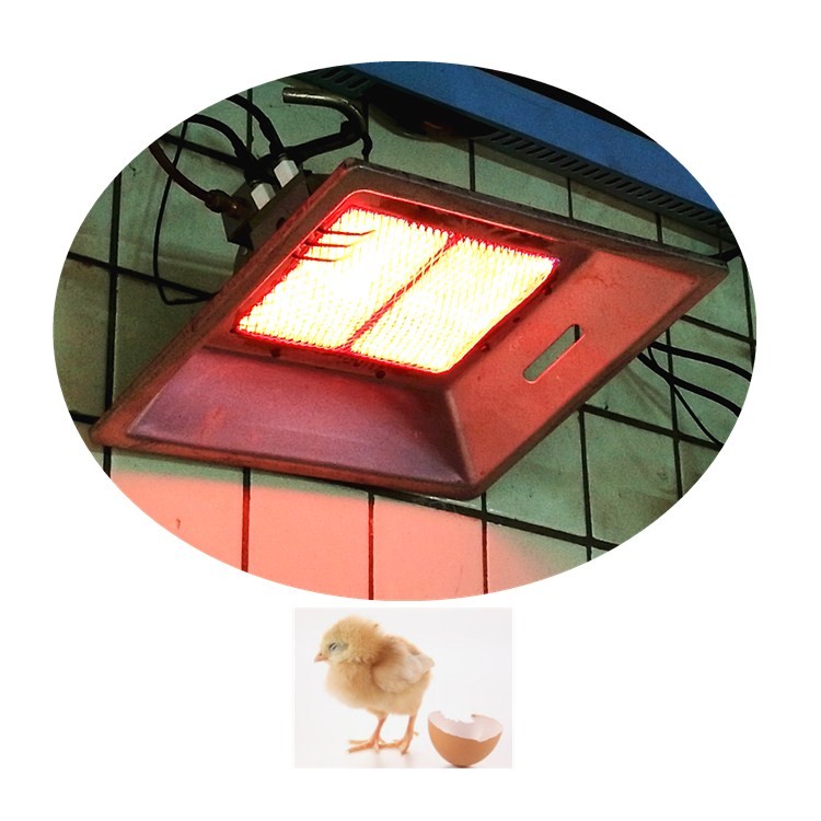 Portable Poultry Brooder Heater Infrared Outdoor Gas Heater Purple Horn2608