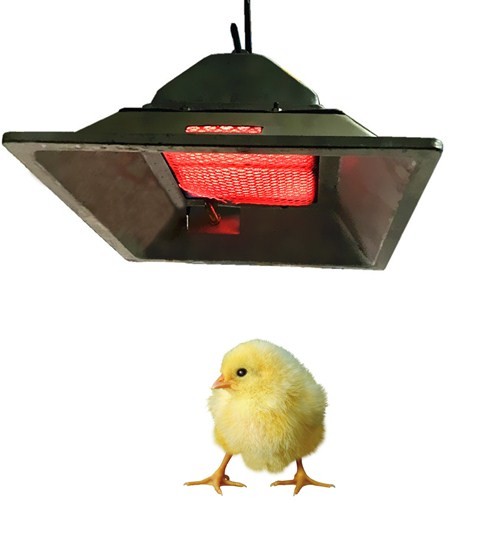 4 Model Chicken Brooder Gas Heater LPG NG Biogas Gas Brooder In Poultry