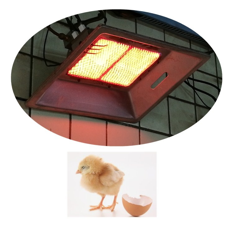 Natural Gas LPG Poultry Chicken Brooder Heaters Aluminum Poultry House ...